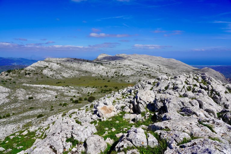 Esperienze, Tour e Escursioni nel nord est Sardegna - Domu Manca, Torpè